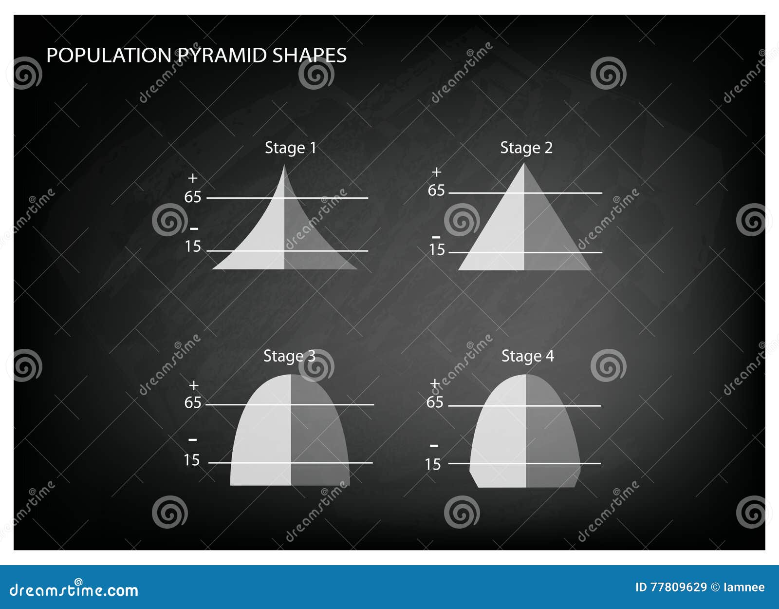 Vier Arten Alterspyramiden Auf Tafel-Hintergrund Vektor Abbildung ...