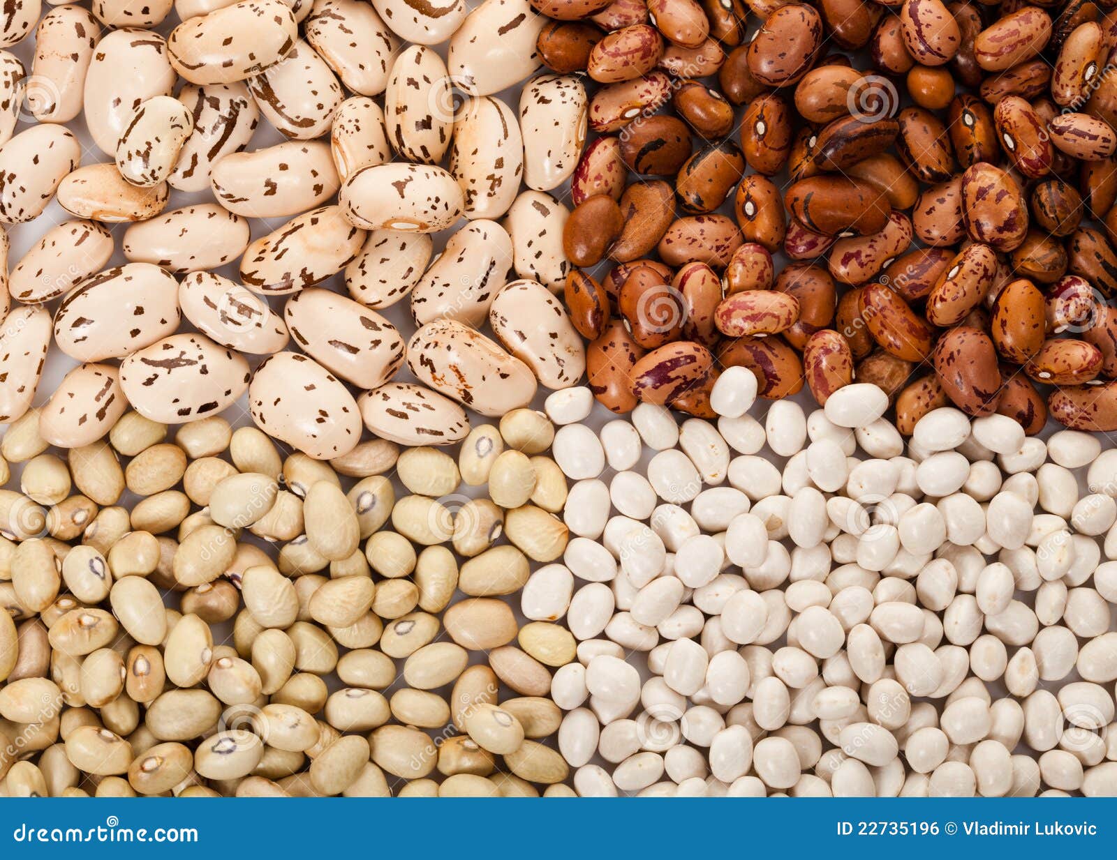 Vier Arten Bohnen stockfoto. Bild von verschieden, nahrung - 22735196
