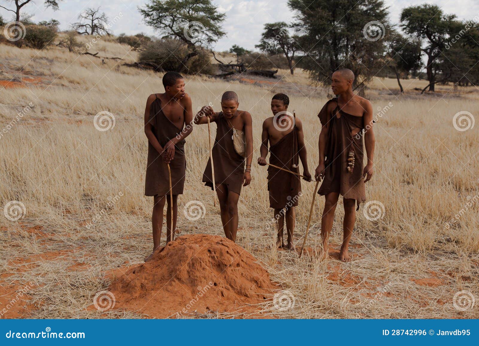 Vier Bosjesmannen redactionele foto. Image of cultuur - 28742996