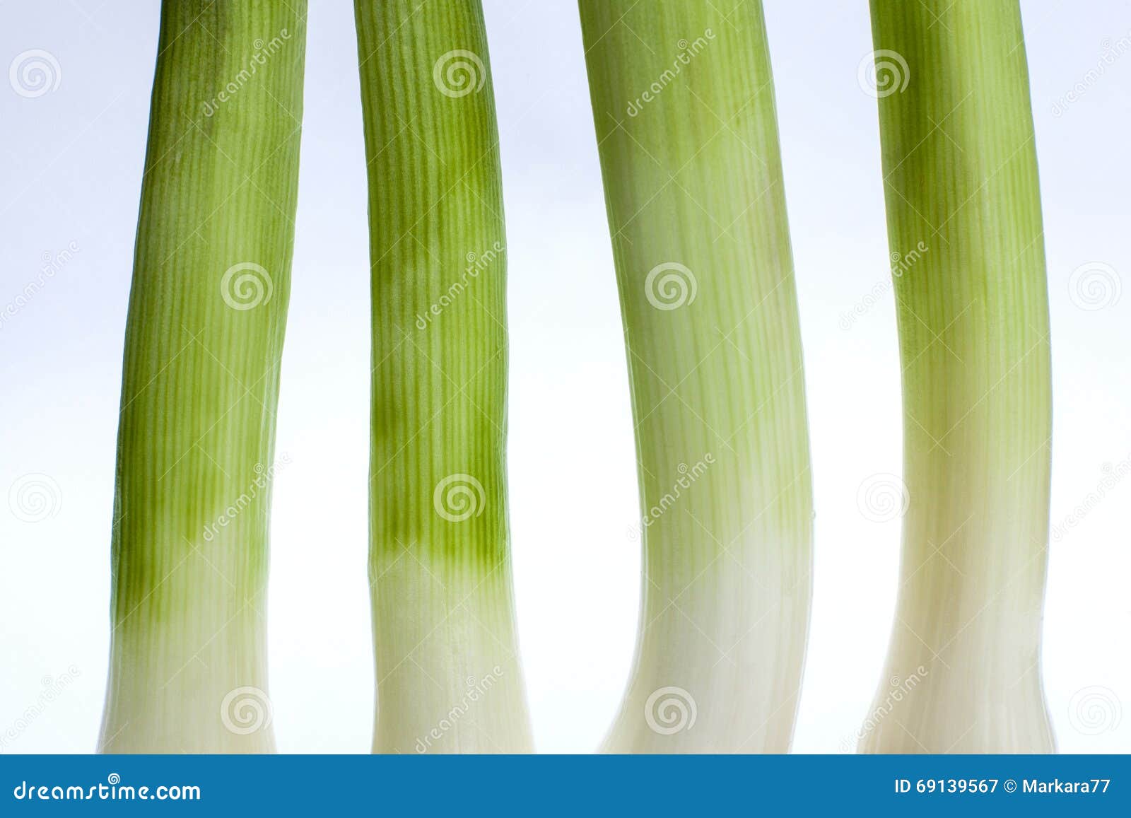 Vier groene uien stock afbeelding. Image of dieet, gezond - 69139567