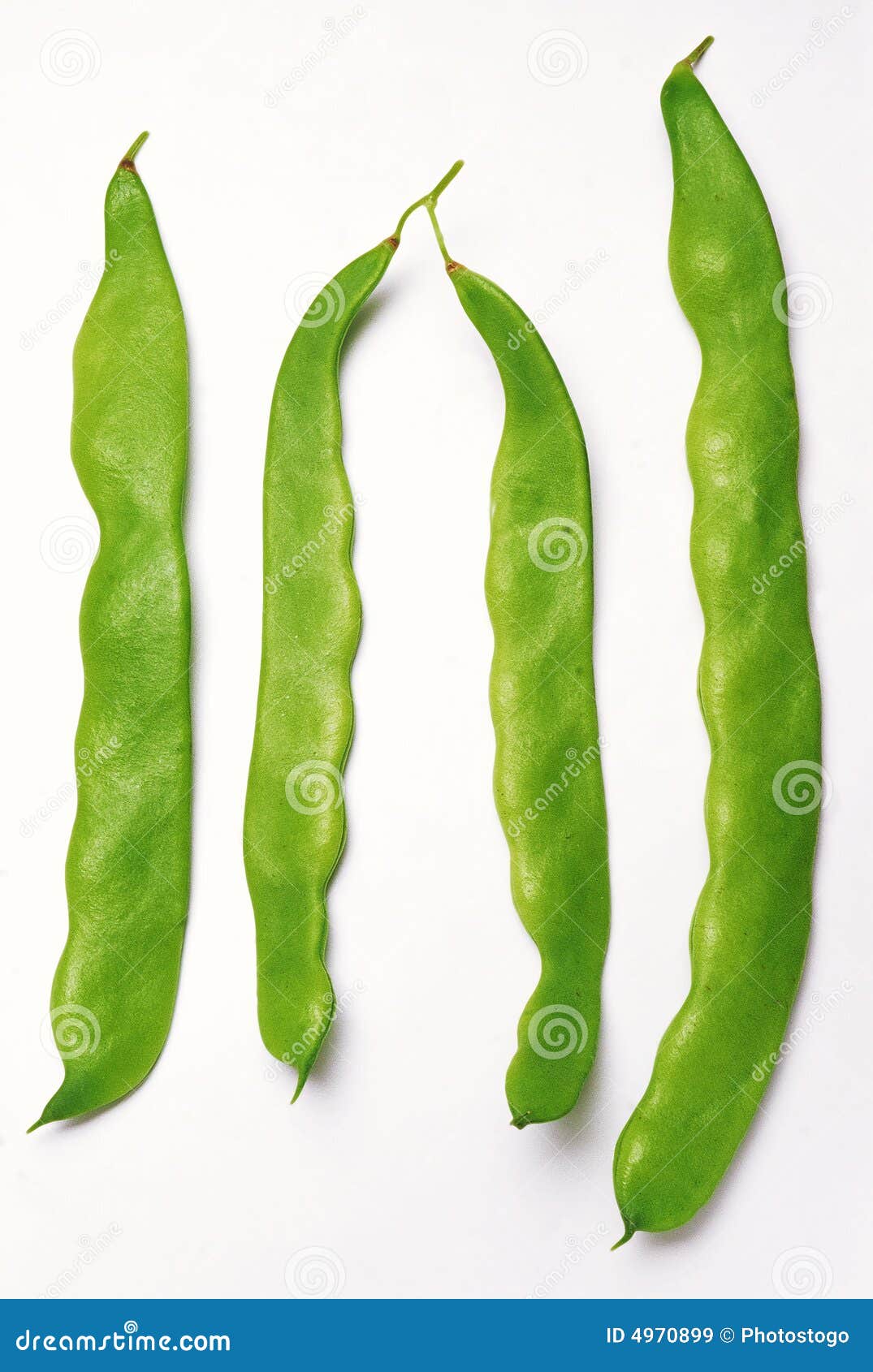 Vier Italienisch Oder Römische Bohnen Stockbild - Bild von bohnen, vier ...