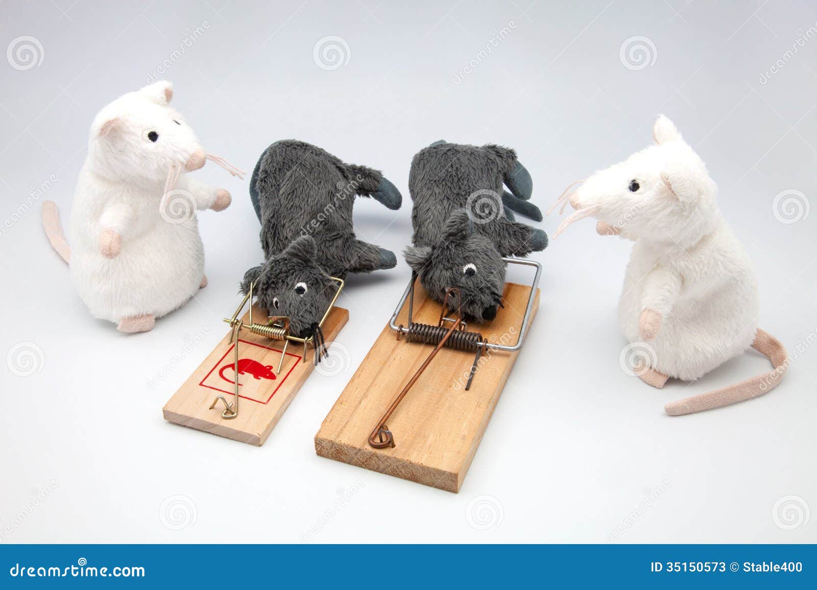 Vier muizen stock afbeelding. Image of dier, gevangen - 35150573