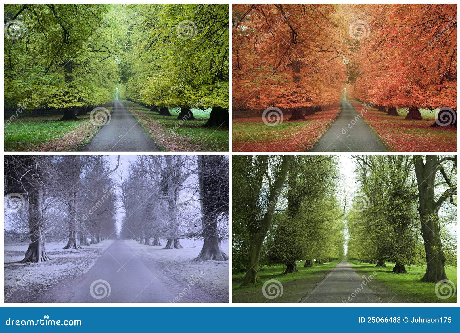 Vier Seizoenen stock foto. Image of leiding, sinaasappel - 25066488