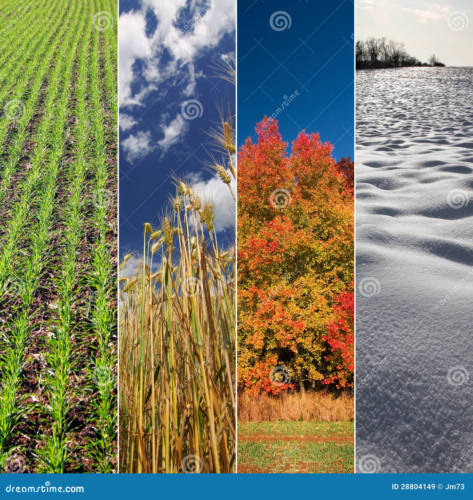 Vier seizoenen stock afbeelding. Image of ijzig, nave - 28804149