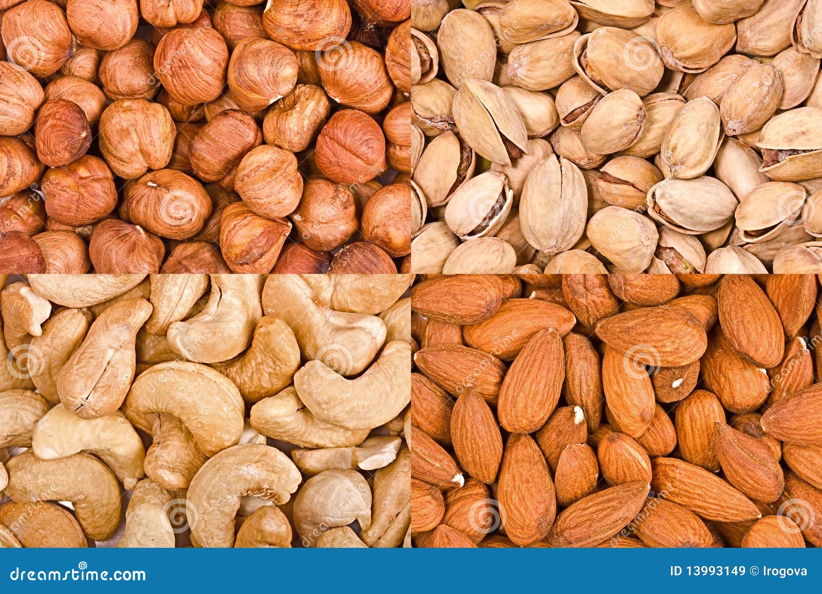 Vier Soorten Noten in Massa Stock Afbeelding - Image of noot ...