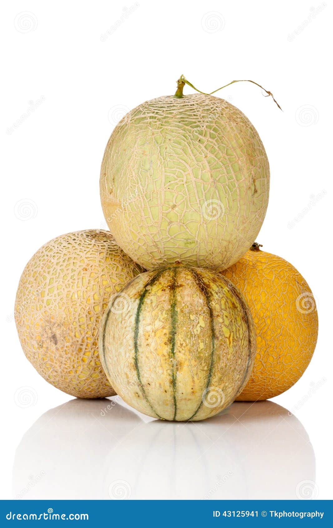 Vier Verschillende Galia-meloenen Stock Afbeelding - Image of vrucht ...