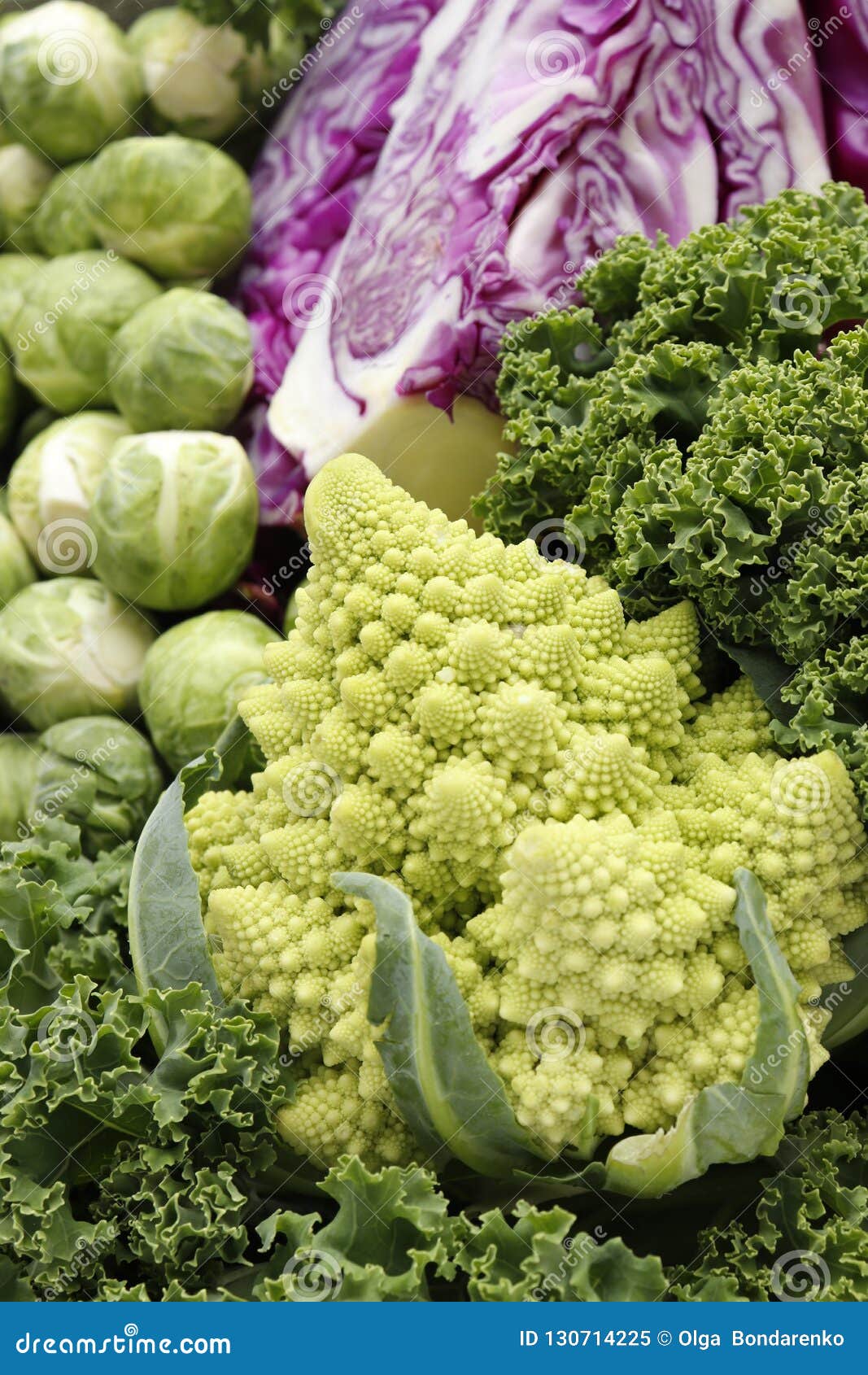 Vier Verschillende Types Van Kool Kruisbloemige Groenten Stock ...