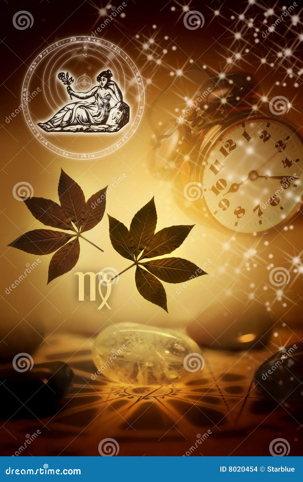 Vierge Astrologique De Signe Illustration Stock - Illustration du lame ...