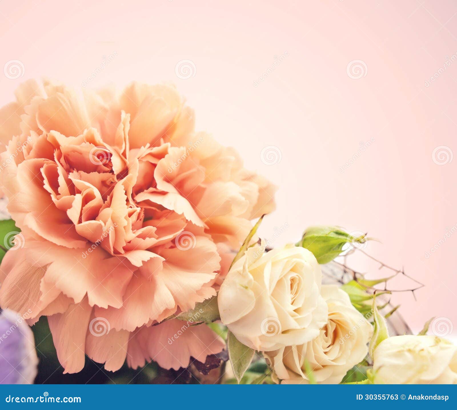 Vieringskaart Met Anjer En Rozen Stock Afbeelding - Image of verjaardag ...