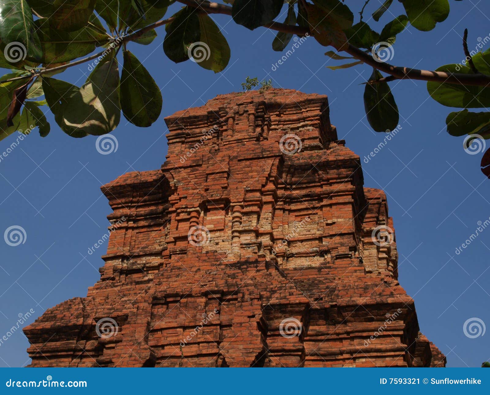 Vietnam Champa Temple Royalty-Free Stock Image | CartoonDealer.com #7593328