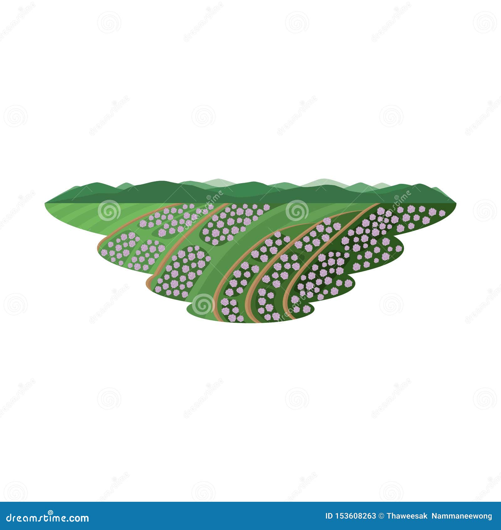 Da Lat Stock Illustrations – 13 Da Lat Stock Illustrations, Vectors ...