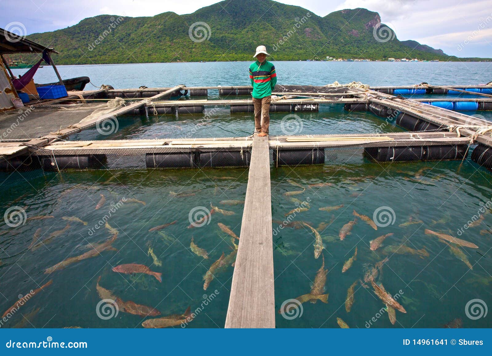 Vietnam Fish Farmer editorial photo. Image of floating - 14961641