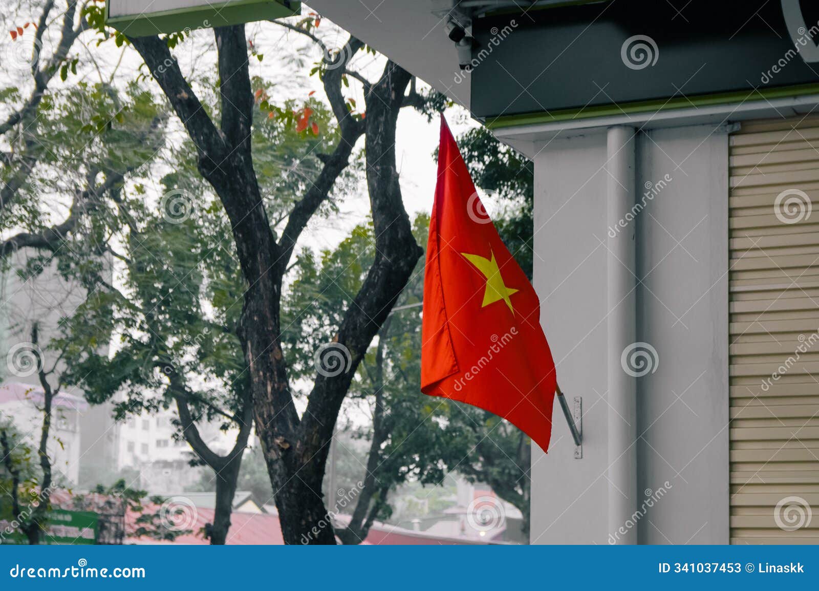 Vietnam Flag - State Of Asia, Flag Waving On A Blue Sky In Beautiful ...