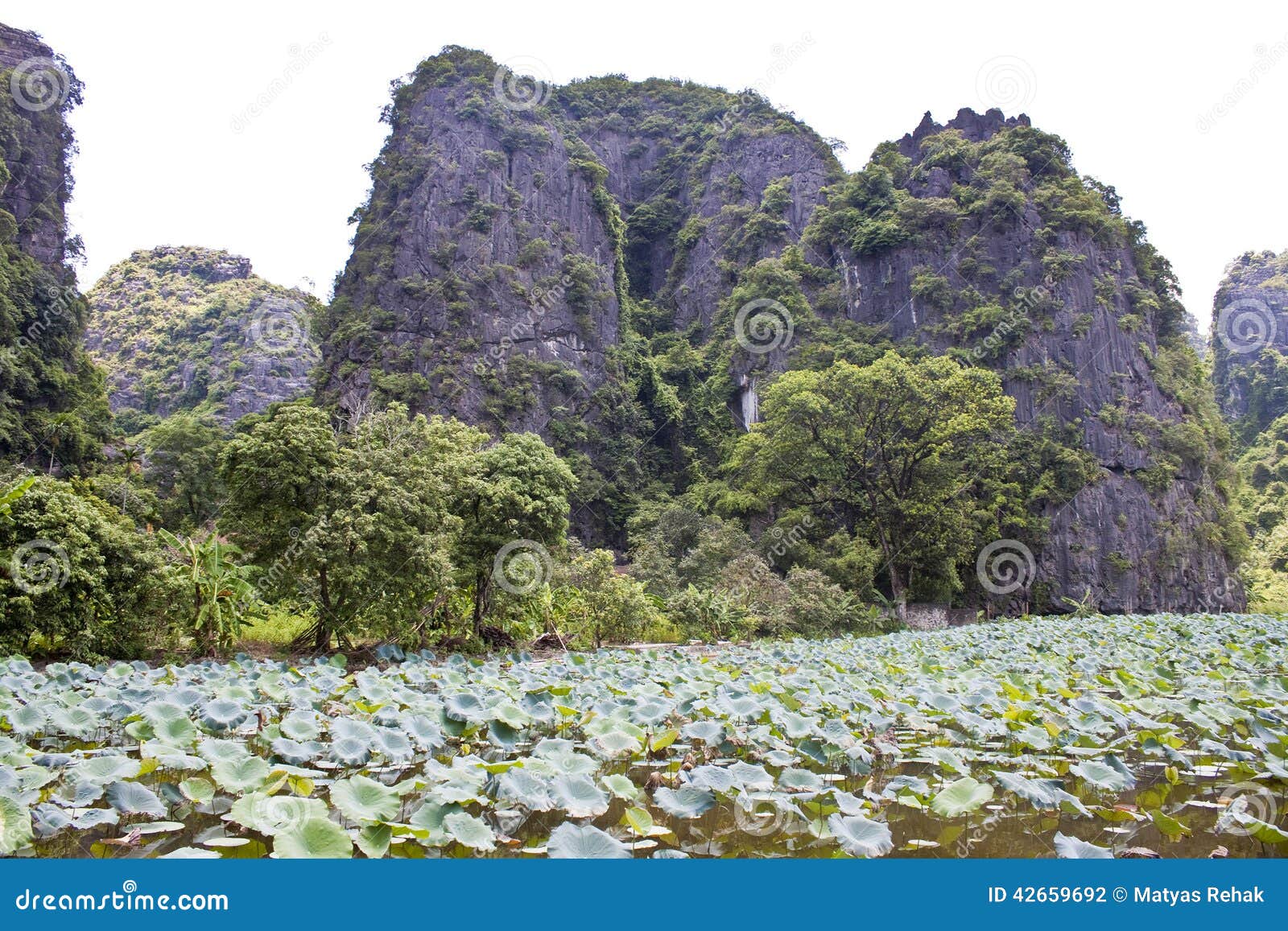 Vietnam Limestone Landscape Stock Photo - Image of karst, countryside ...