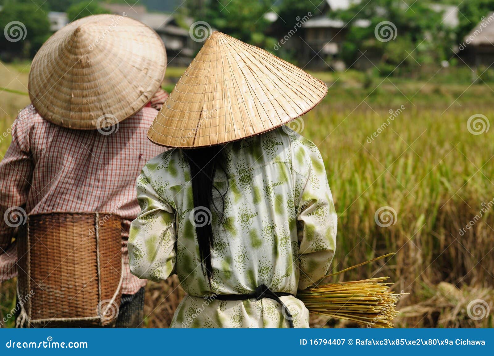 VIetnam - rural scene editorial photography. Image of mountain - 16794407