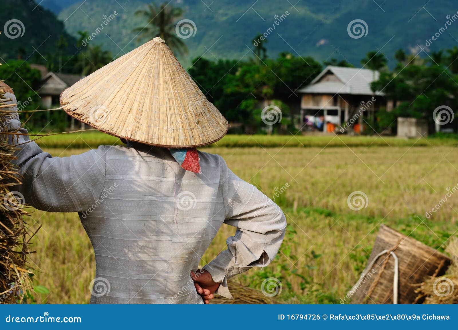 VIetnam - rural scene editorial photo. Image of vietnam - 16794726