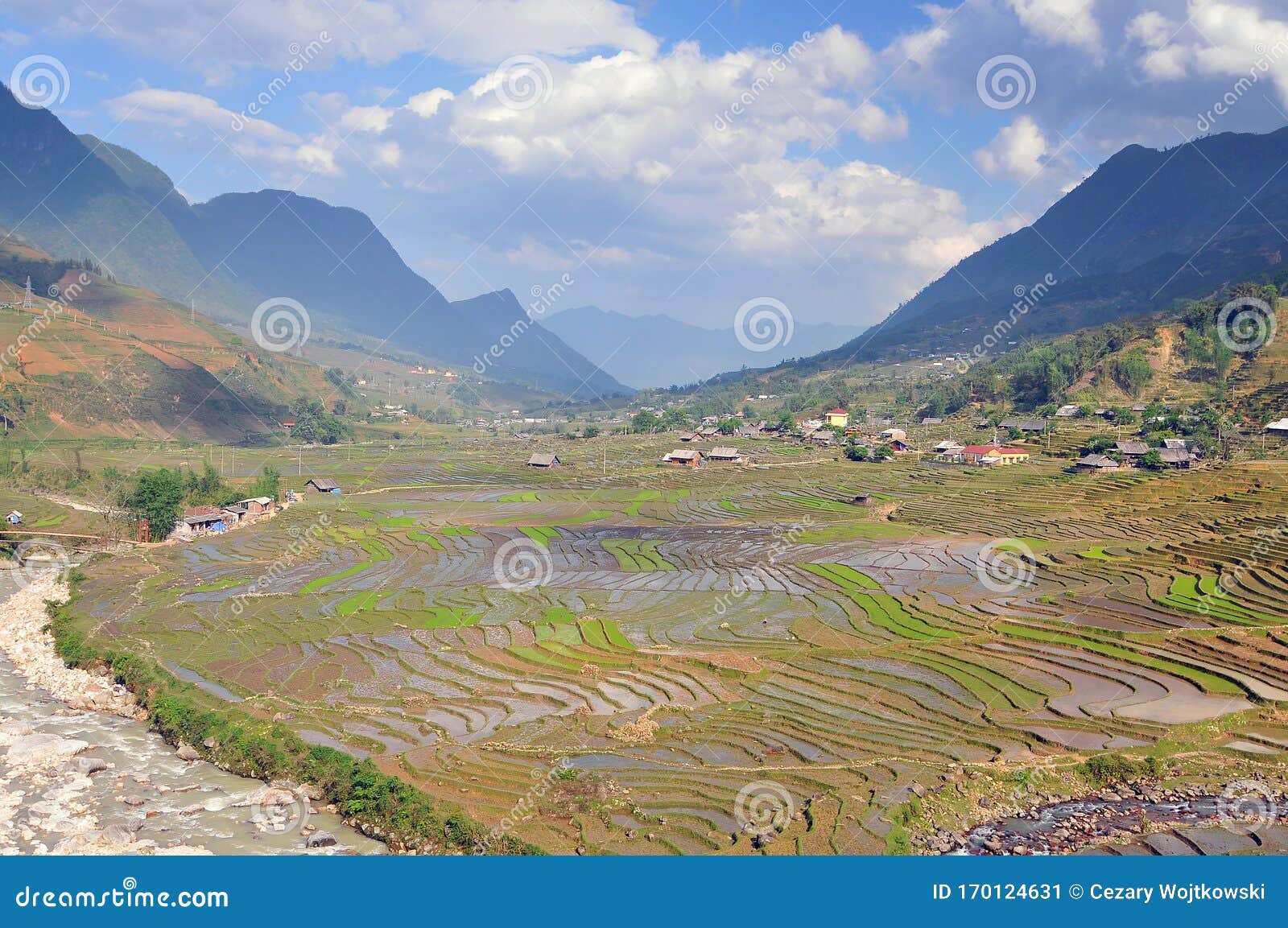 Vietnam, Sapa, Rice Terraces of Sapa Vietnam Stock Image - Image of ...
