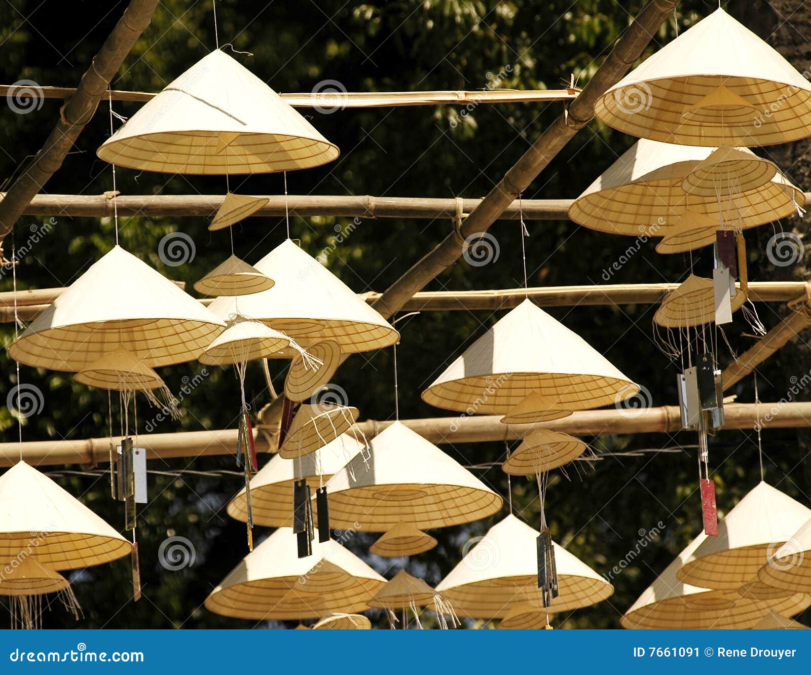 Vietnam: Vietnamese Conic Hats Stock Image - Image of traditional, rice ...