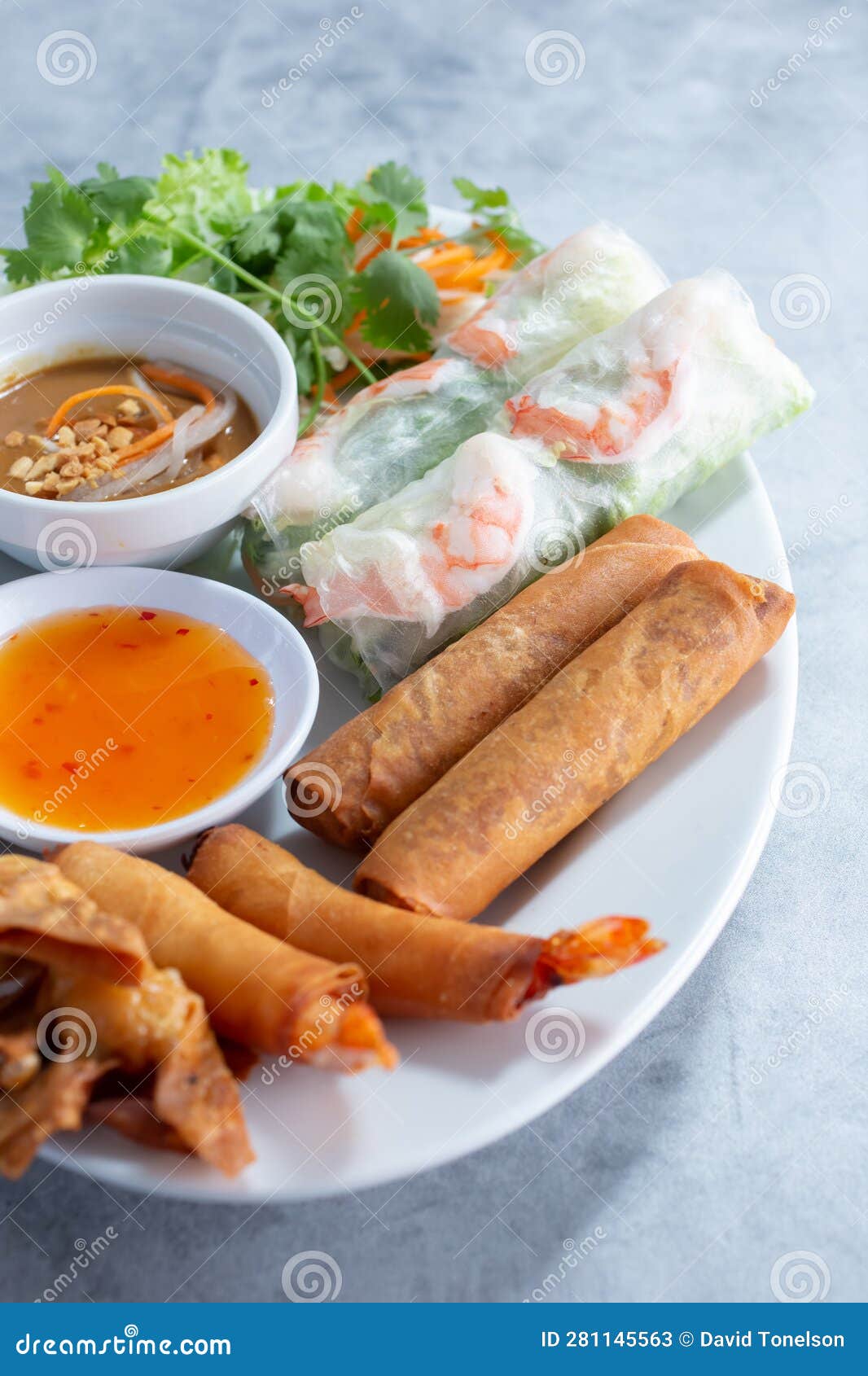 Vietnamese Appetizer Sampler Plate Stock Image - Image of chile, retail ...