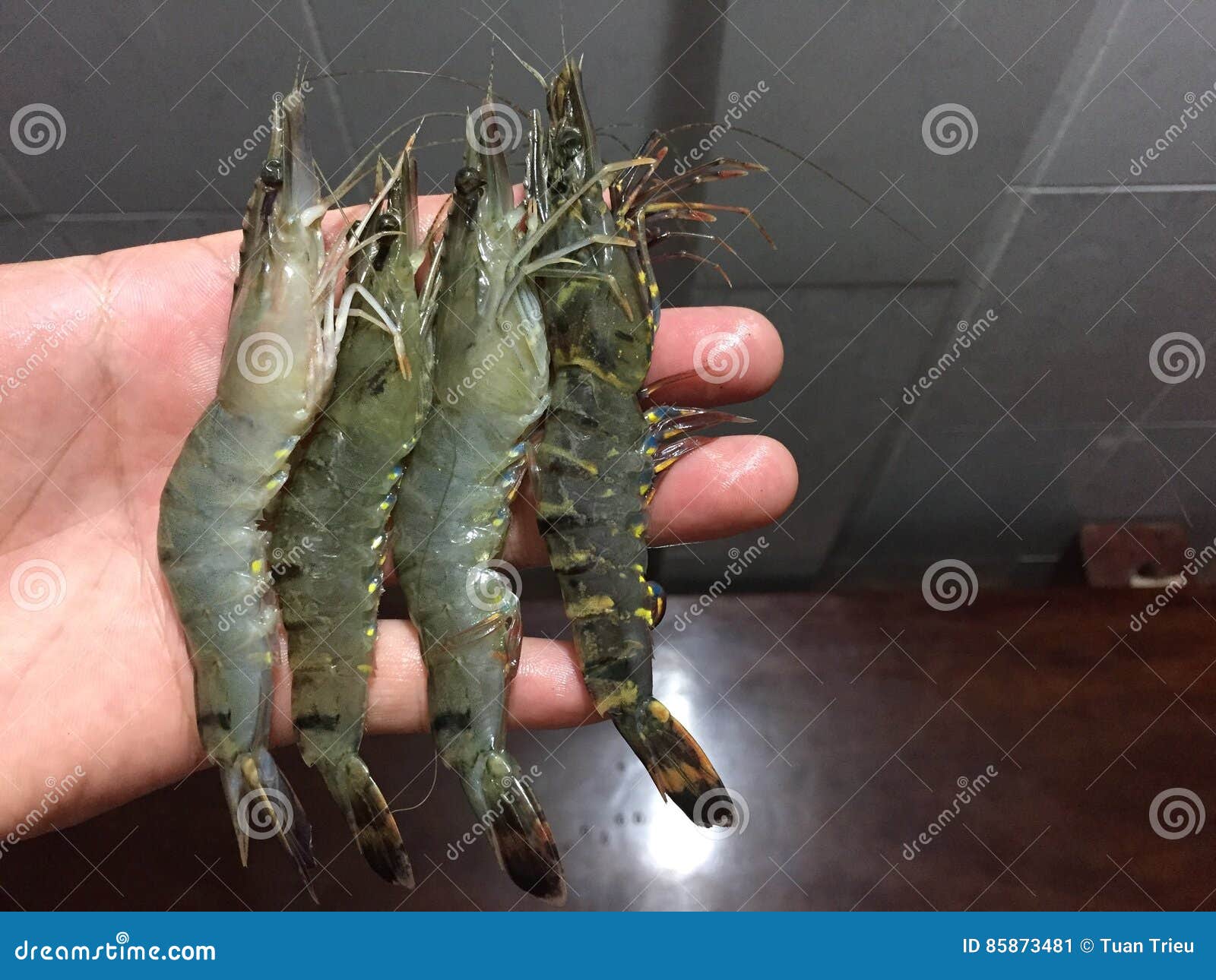 Vietnamese Black Tiger Shrimp, Penaeus Monodon Stock Image - Image of ...