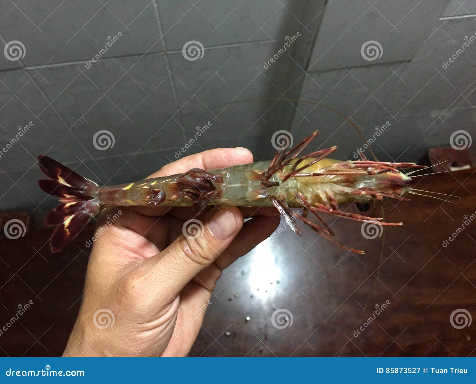 Vietnamese Black Tiger Shrimp, Penaeus Monodon Stock Image - Image of ...
