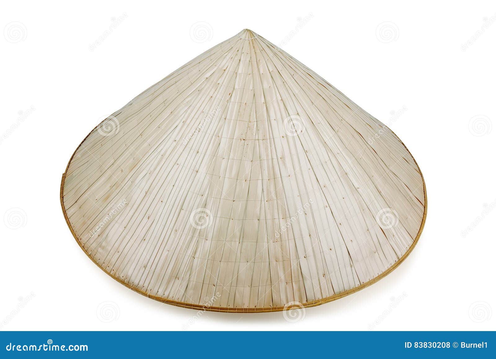 Vietnamese Conical Hat Stock Image | CartoonDealer.com #95004997
