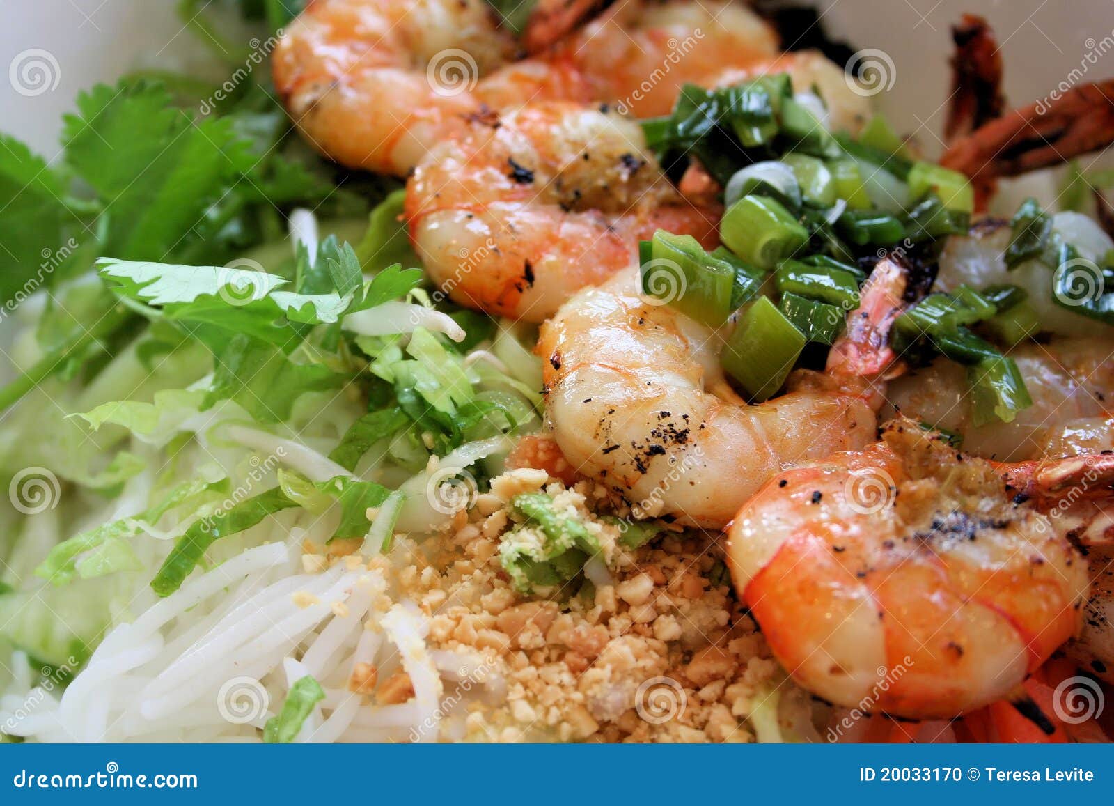 Vietnamese Dinner stock photo. Image of grilled, onions - 20033170