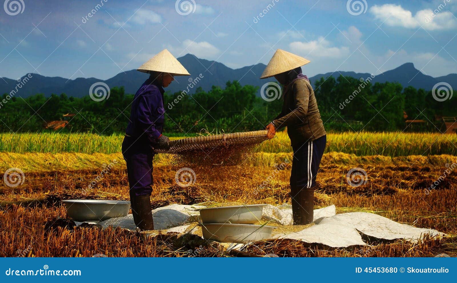 Vietnamese farmers editorial image. Image of vietnamese - 45453680