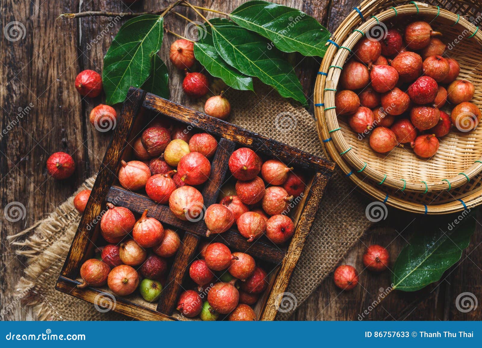 Vietnamese Figs stock image. Image of food, plant, sung - 86757633