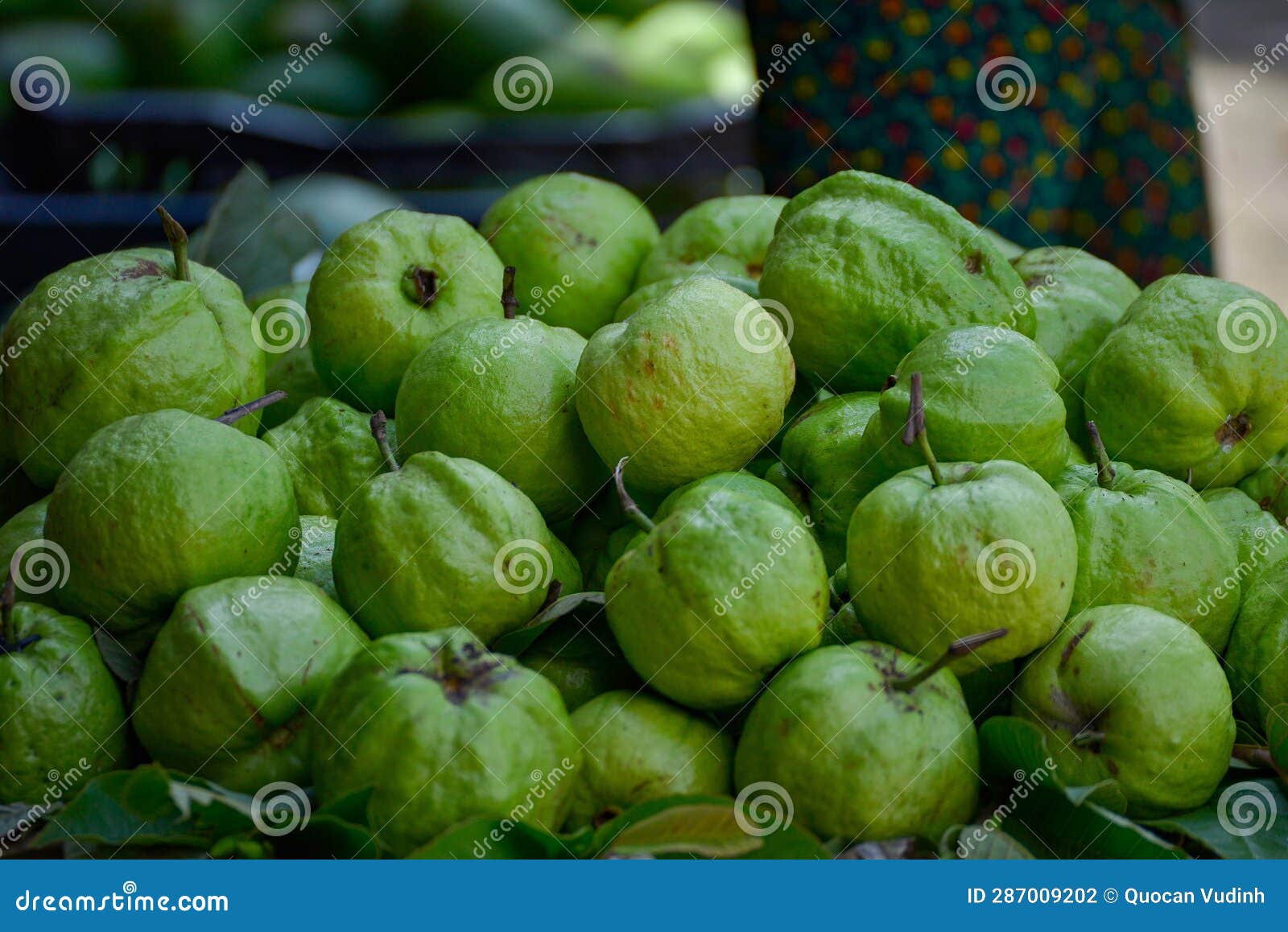 Vietnamese Fruits Jackfruit, Banana Stock Photo - Image of vietnamese ...