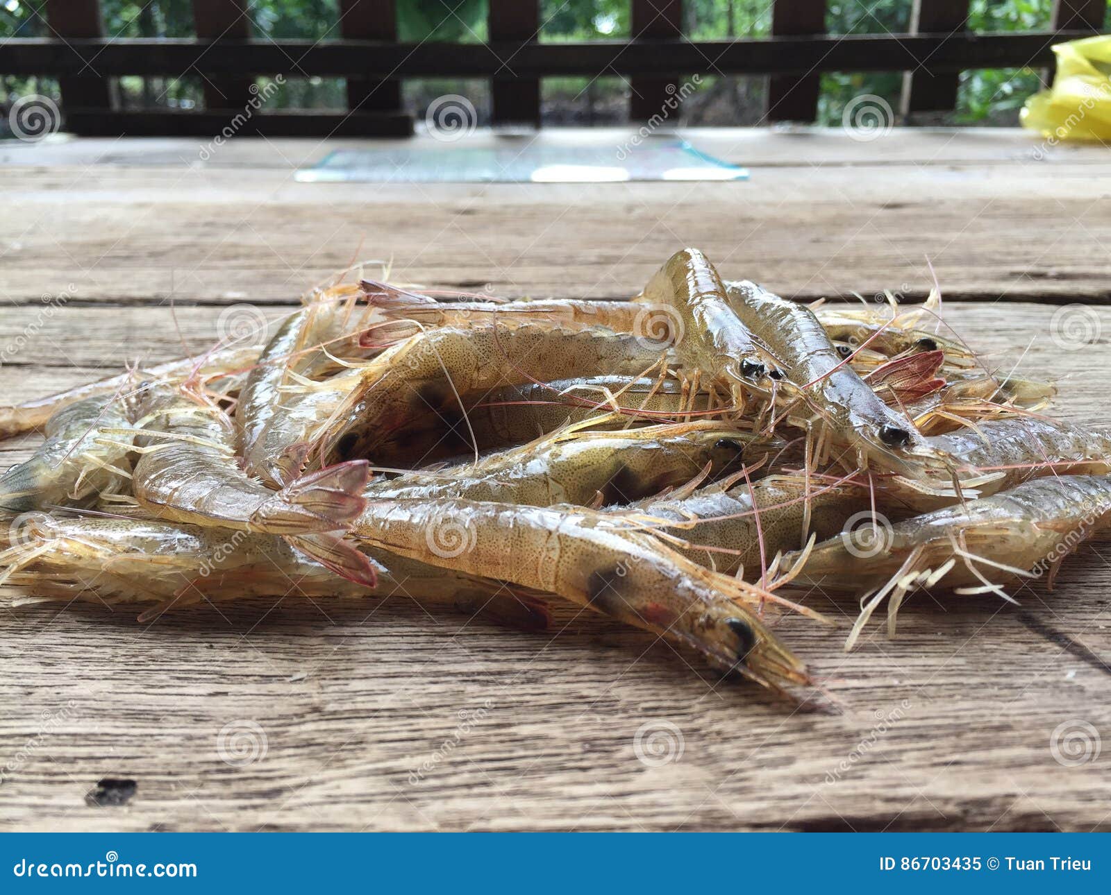 The Vietnamese Greasyback Shrimp or Sand Shrimp, Metapenaeus Ensis ...