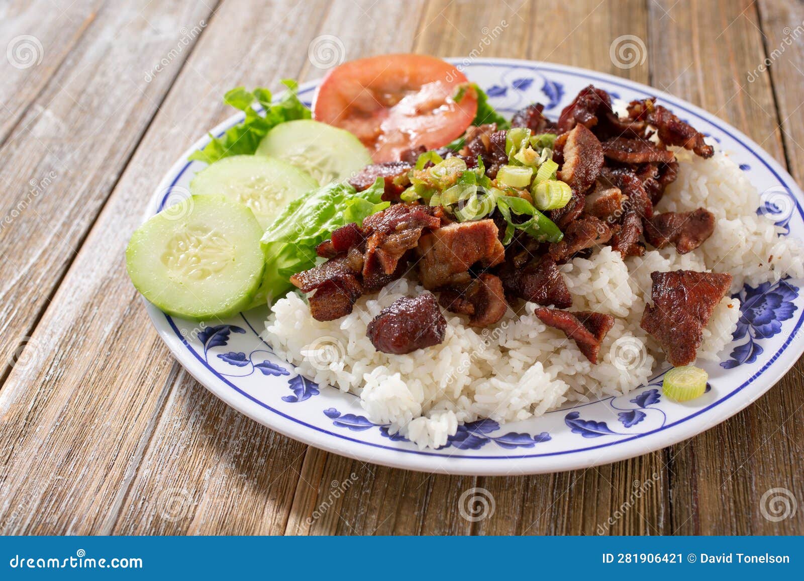 Vietnamese Grilled Pork and Rice Stock Image - Image of home, salad ...