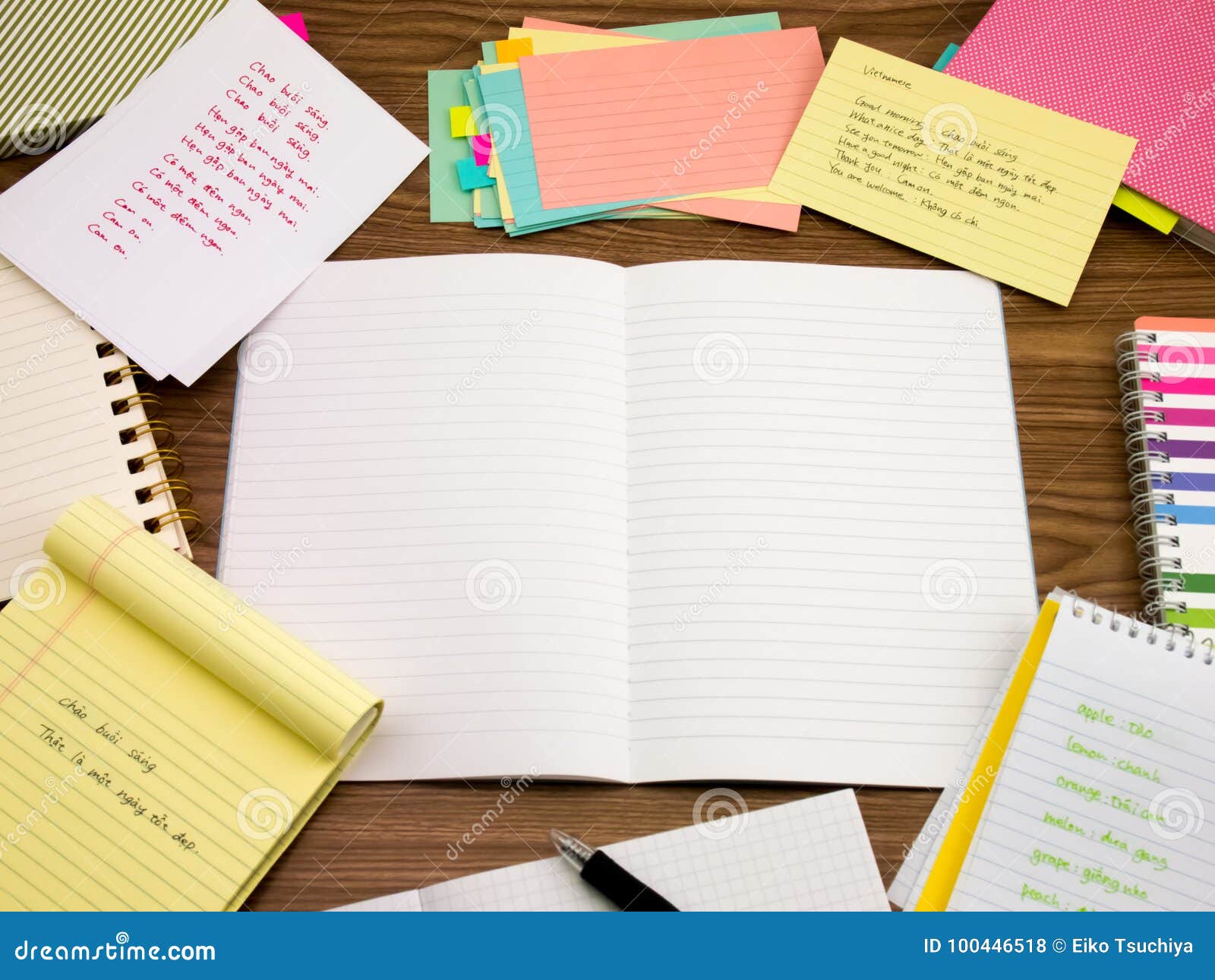 Vietnamese; Learning New Language Writing Words on the Notebook Stock ...