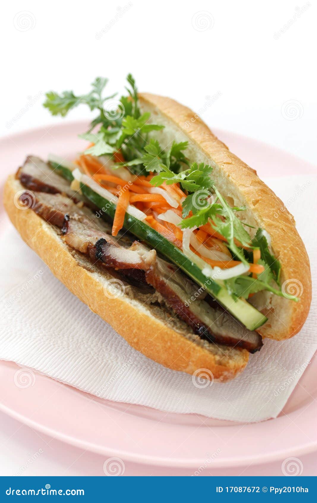 Vietnamese Sandwich stock photo. Image of cucumber, barbecue - 17087672