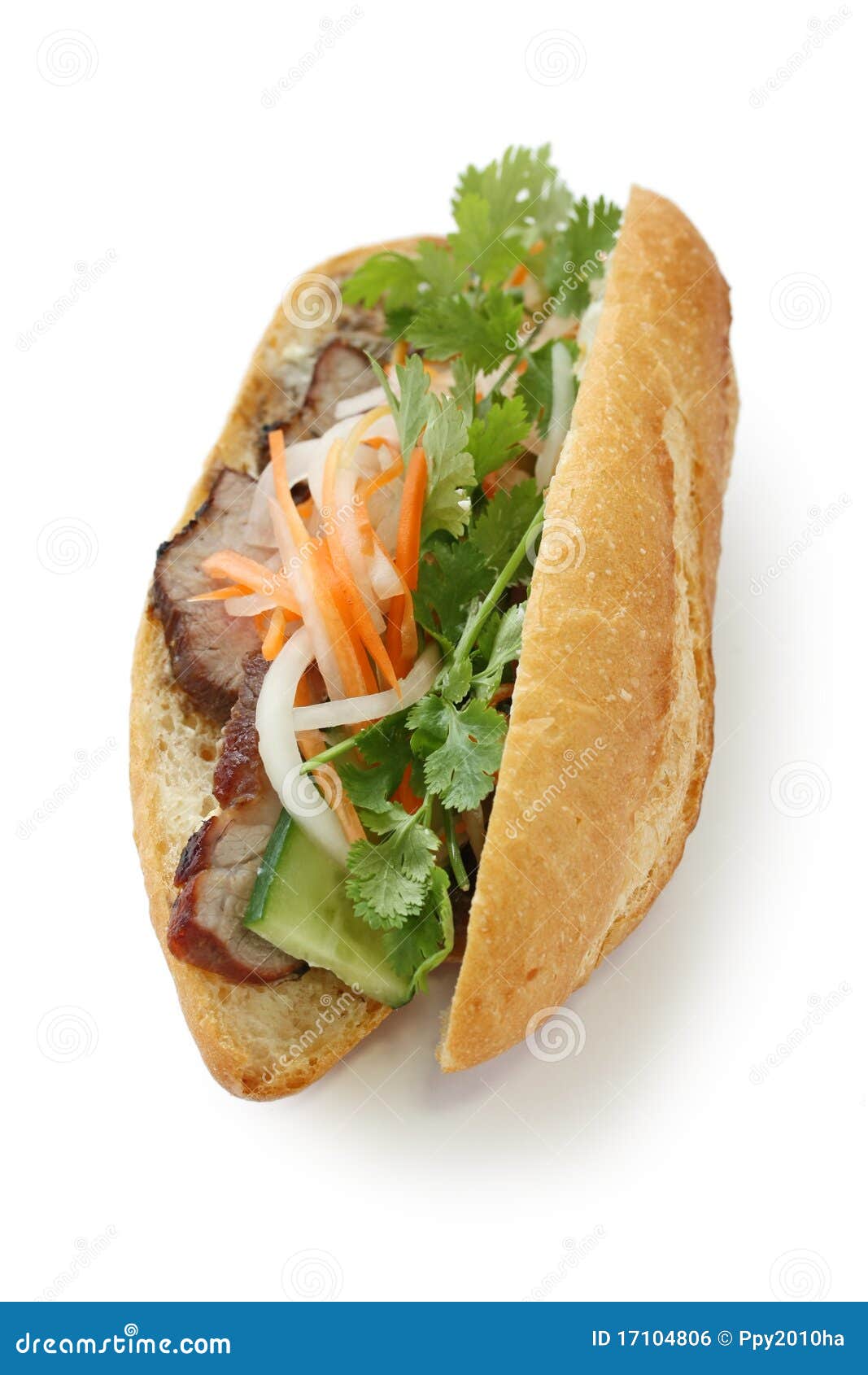 Vietnamese Sandwich stock photo. Image of chicken, daikon - 17104806