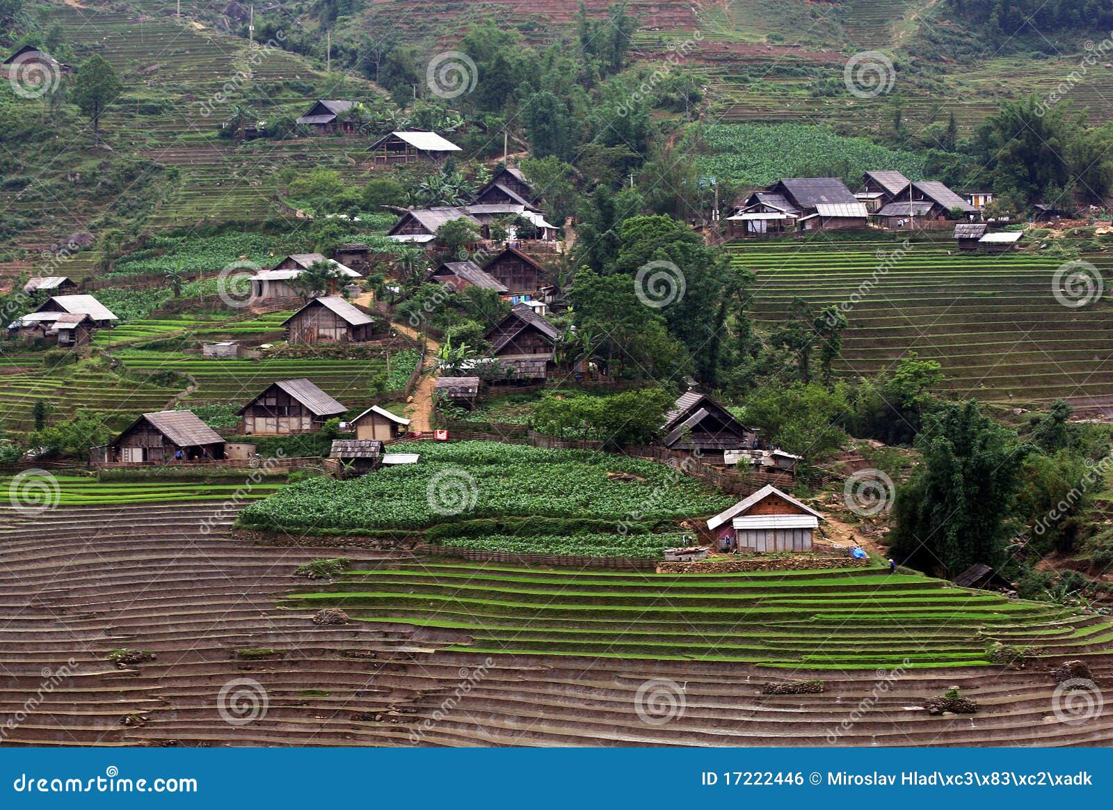 Vietnamese village stock photo. Image of touristic, field - 17222446