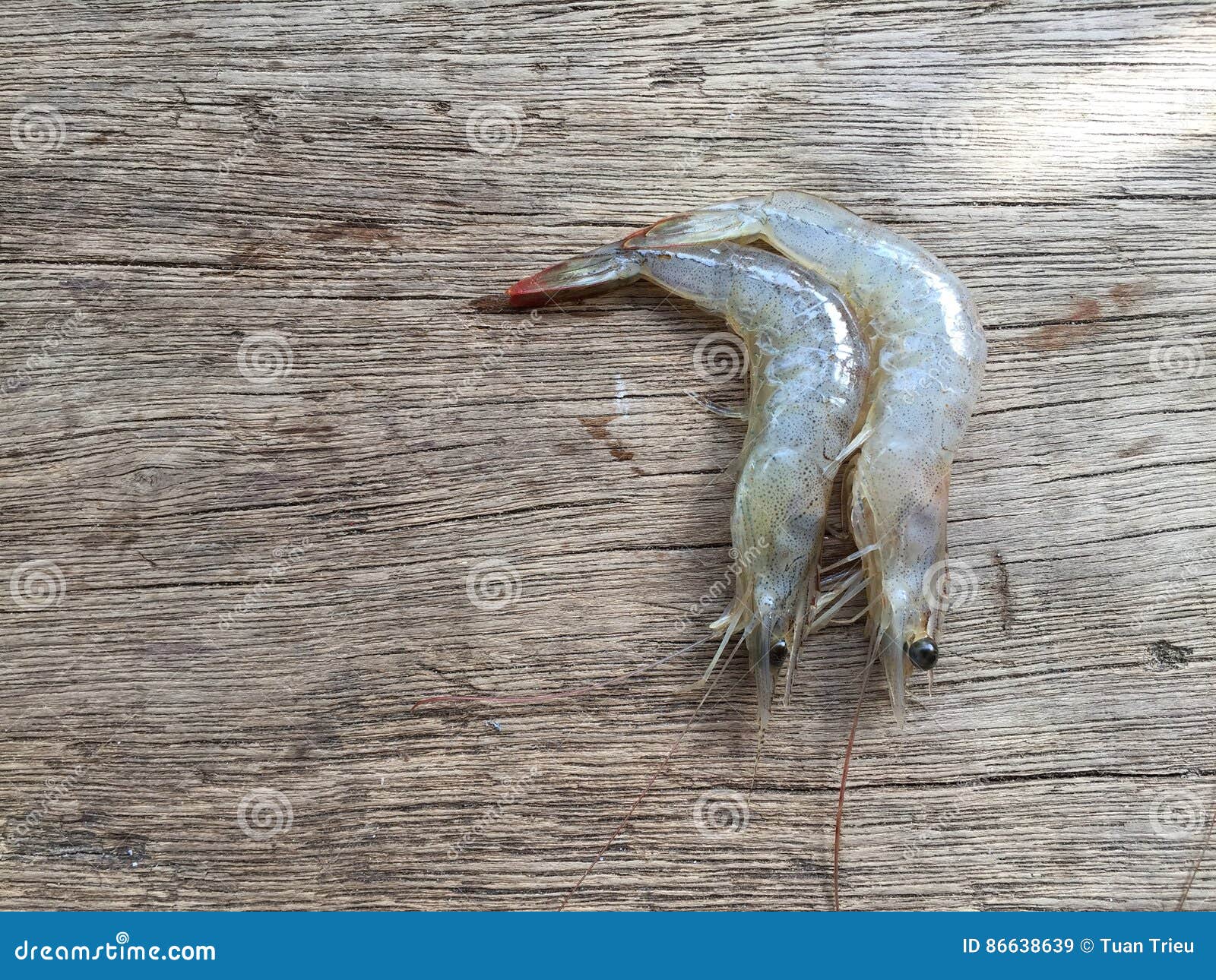 Raw Whiteleg Shrimp, Pacific White Shrimp Litopenaeus Vannamei Stock ...