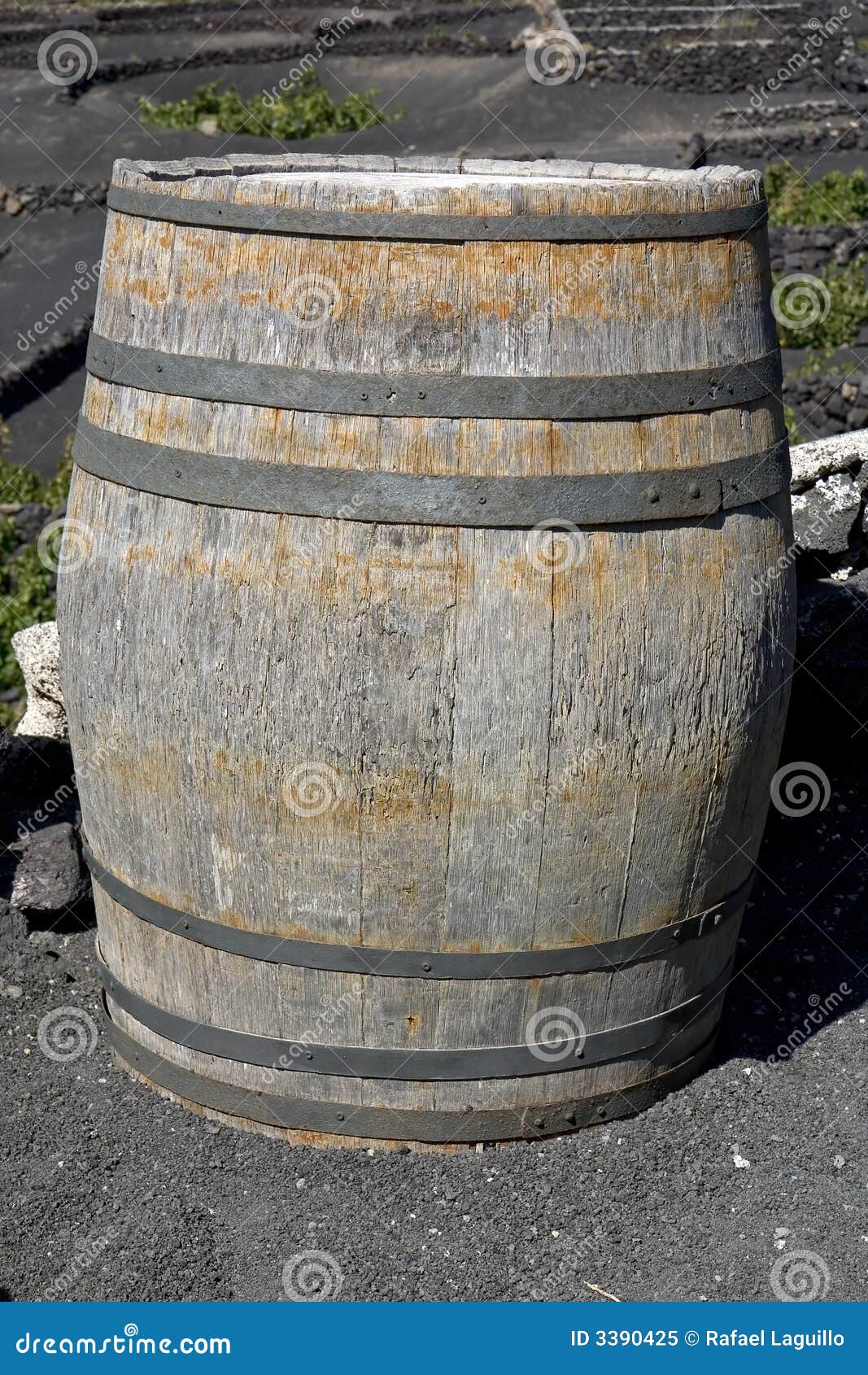 Vieux Baril Image. Image: 3390425