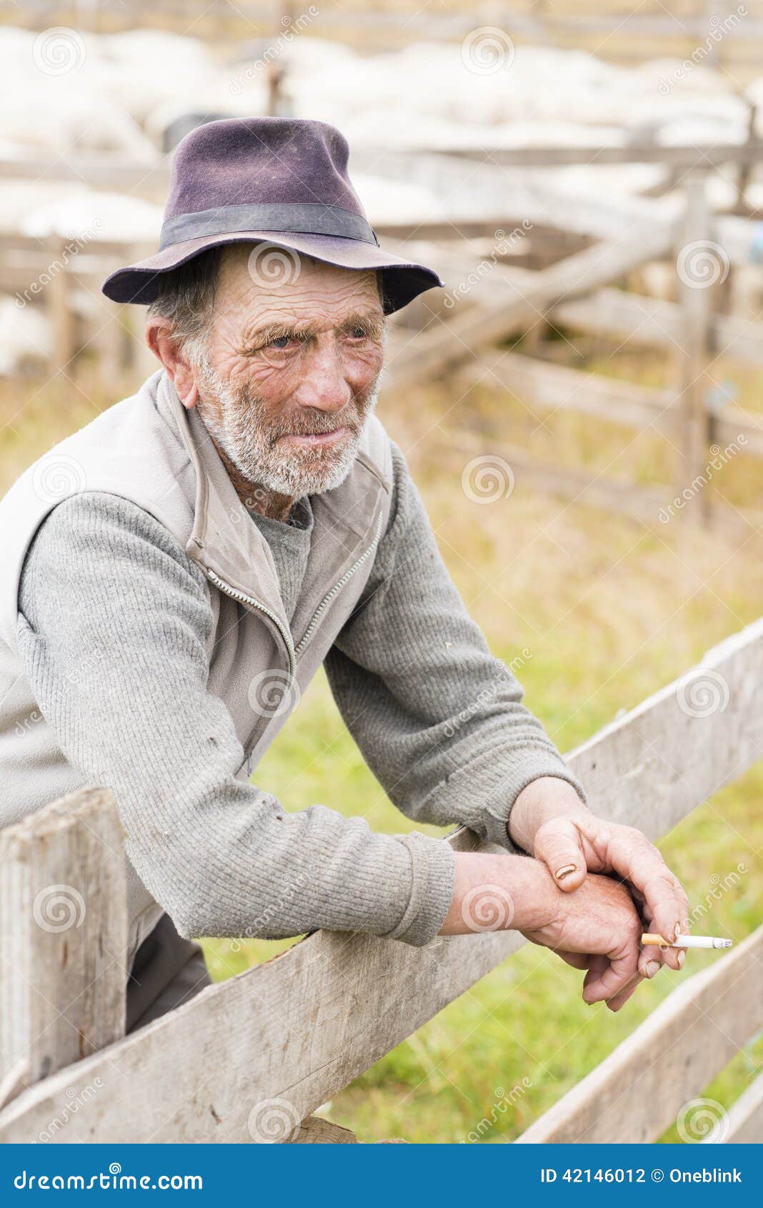 Vieux berger Man photo stock. Image du berger, bande - 42146012