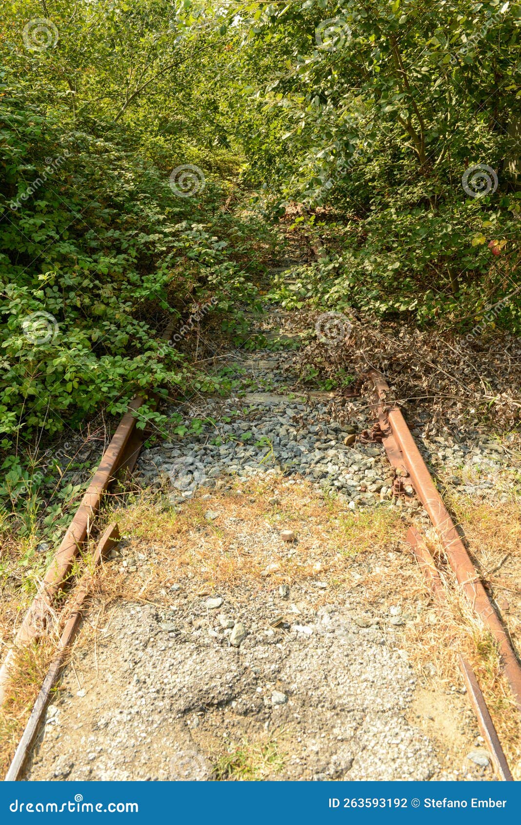 View at Abandoned Train Tracks in Italy Stock Photo - Image of path ...