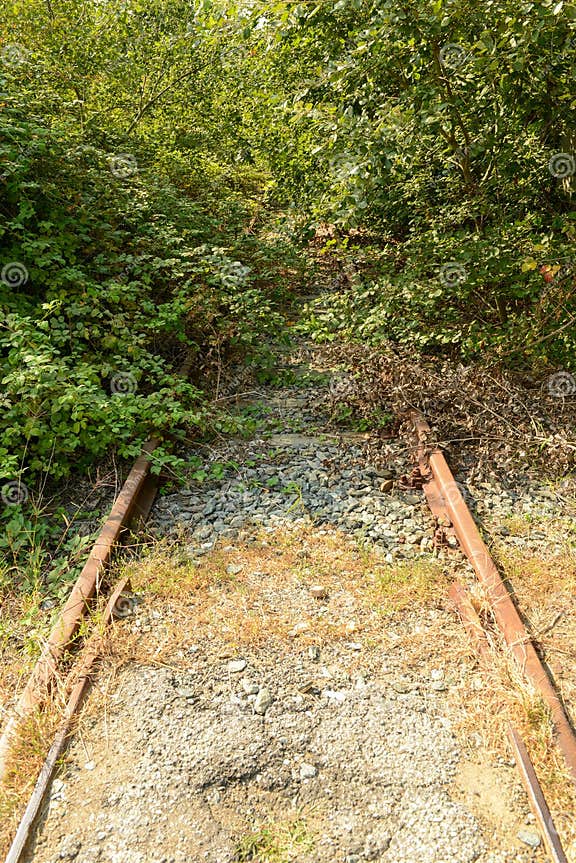 View at Abandoned Train Tracks in Italy Stock Photo - Image of path ...