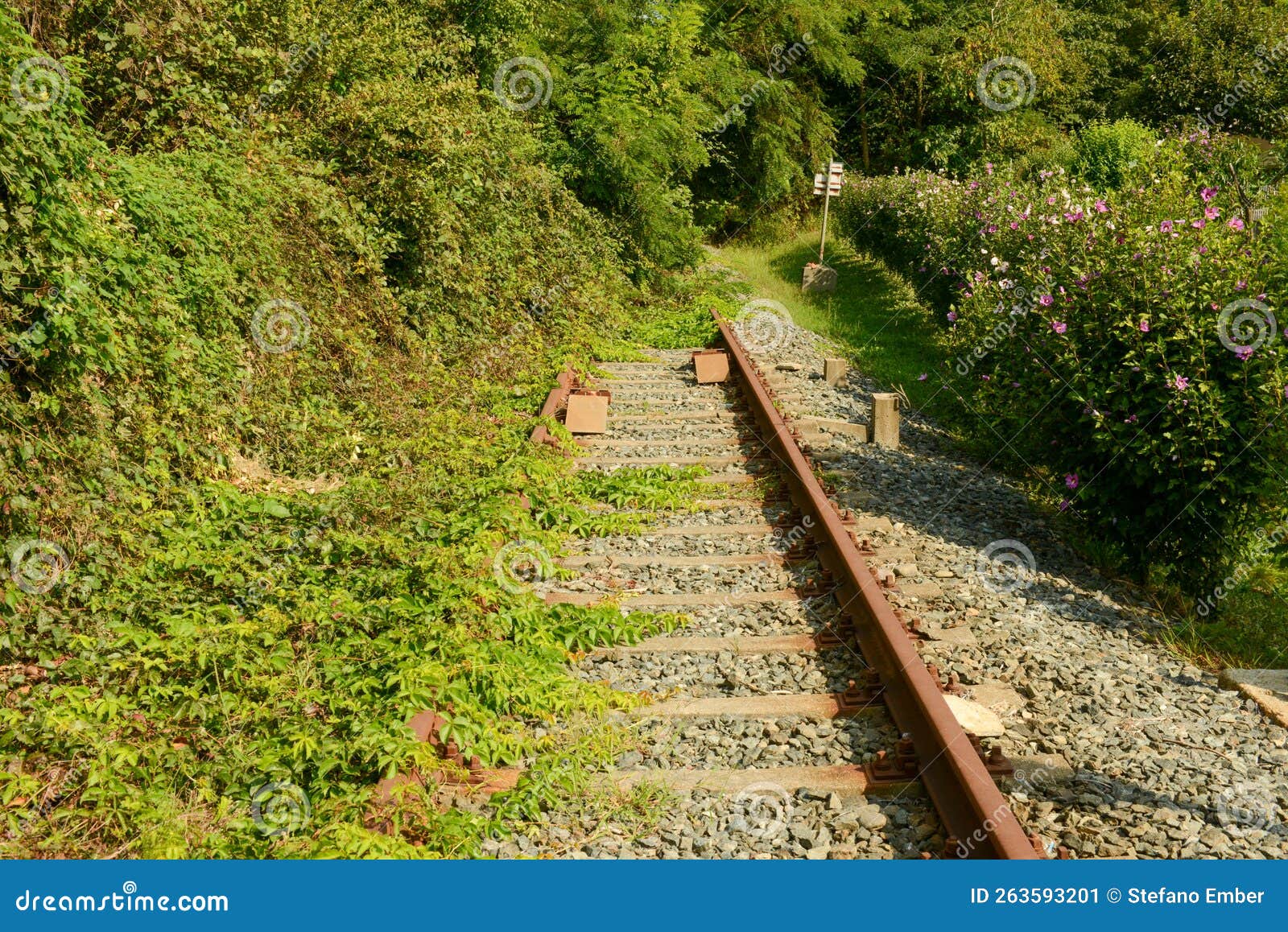 View at Abandoned Train Tracks in Italy Stock Image - Image of green ...