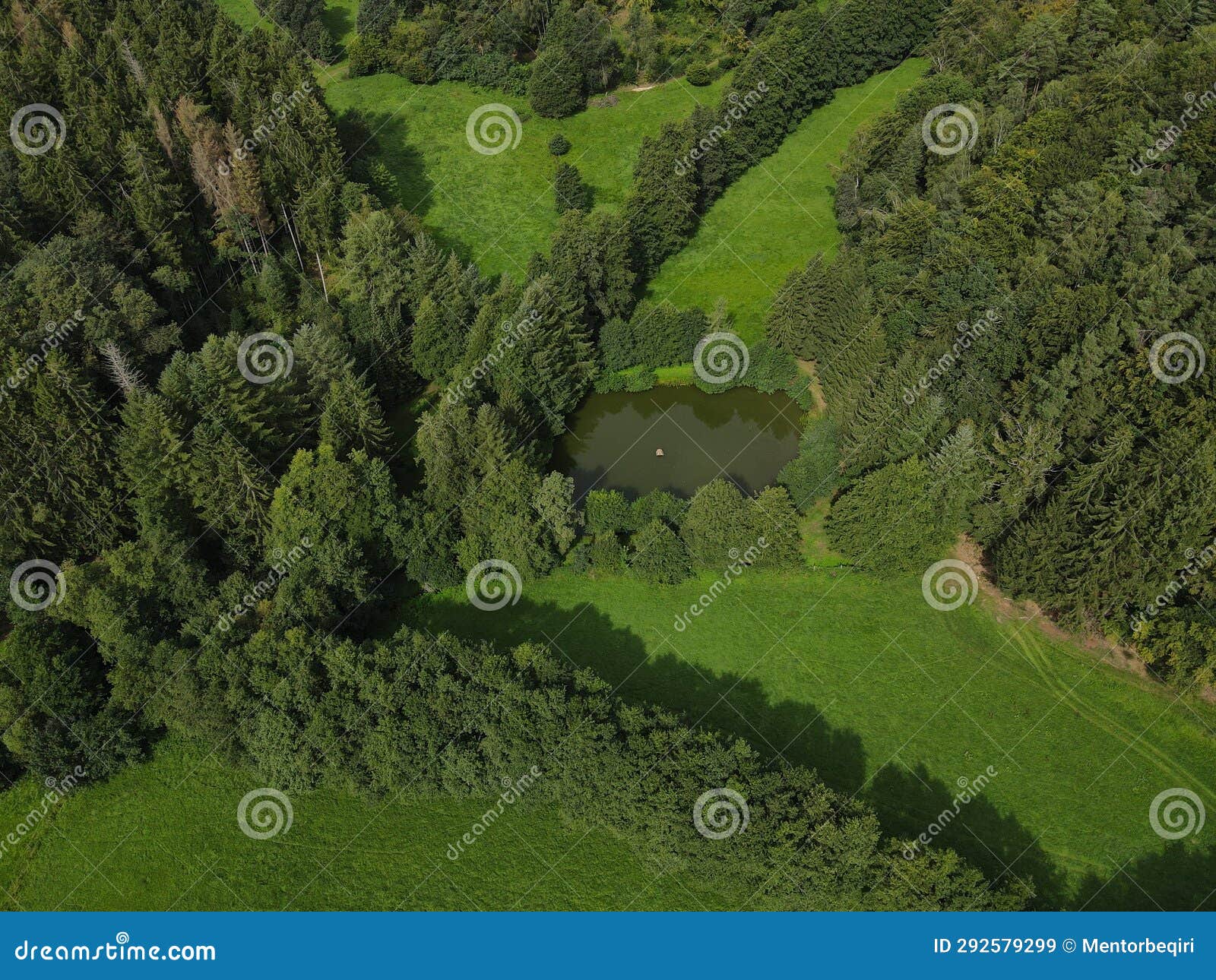 View from Above of a Forest with a Pond in the Middle Stock Image ...