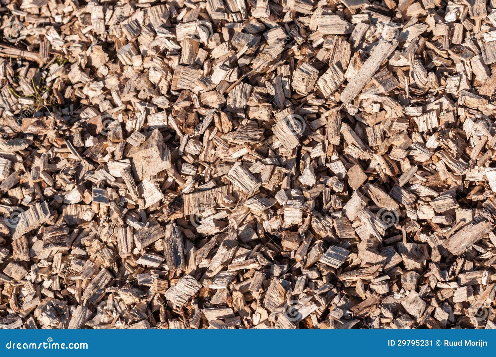 Top View on a Pile of Shredded Tree Branches Stock Image - Image of ...