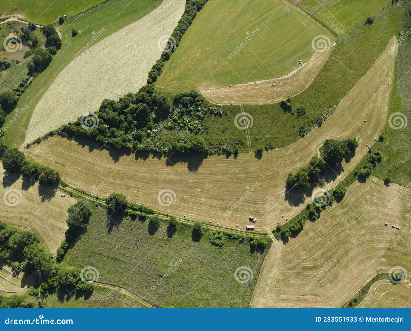 View from Above of a Landscape with Mowed Grass Fields and Trees in ...