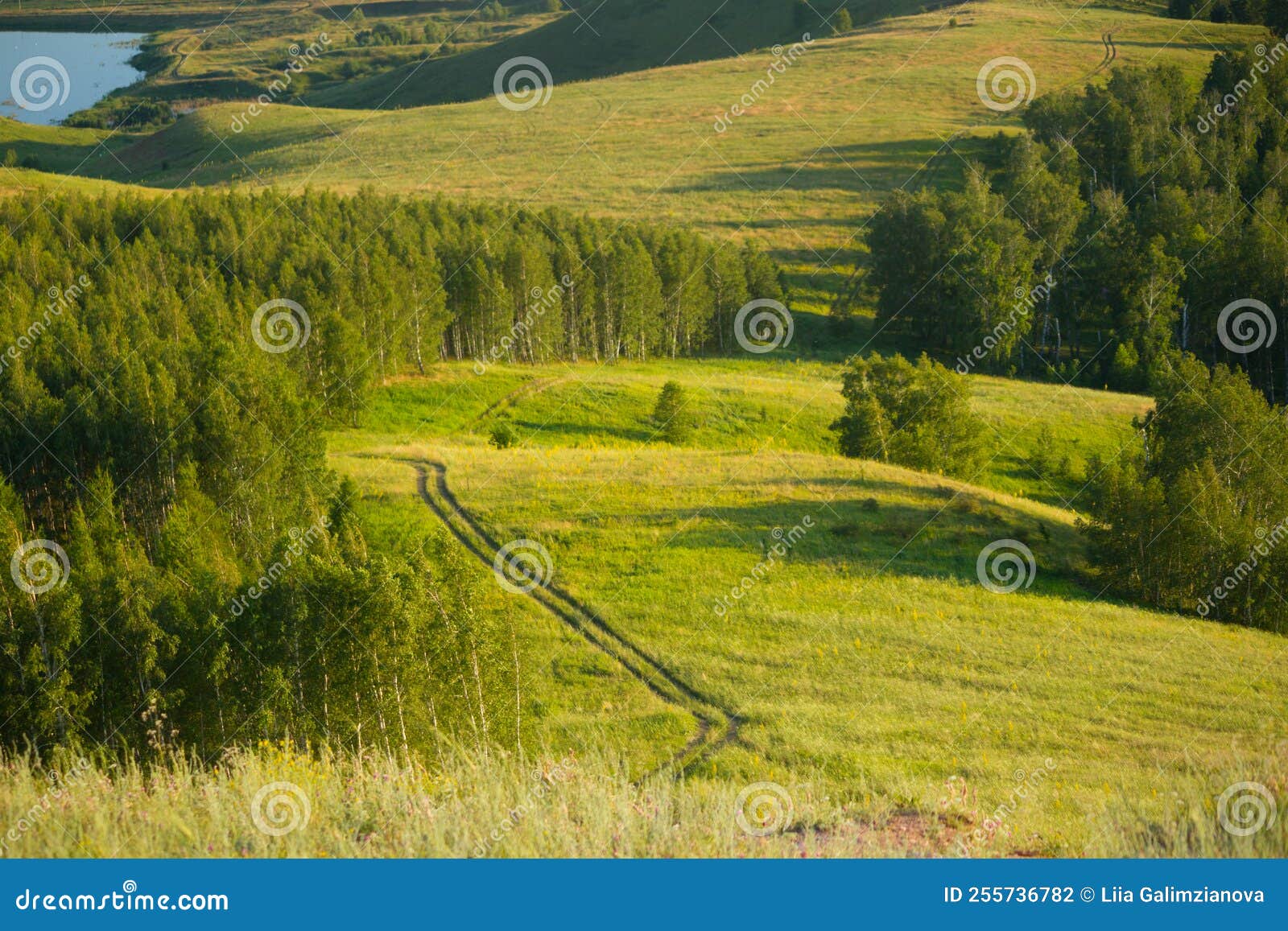 View from above stock photo. Image of meadow, little - 255736782