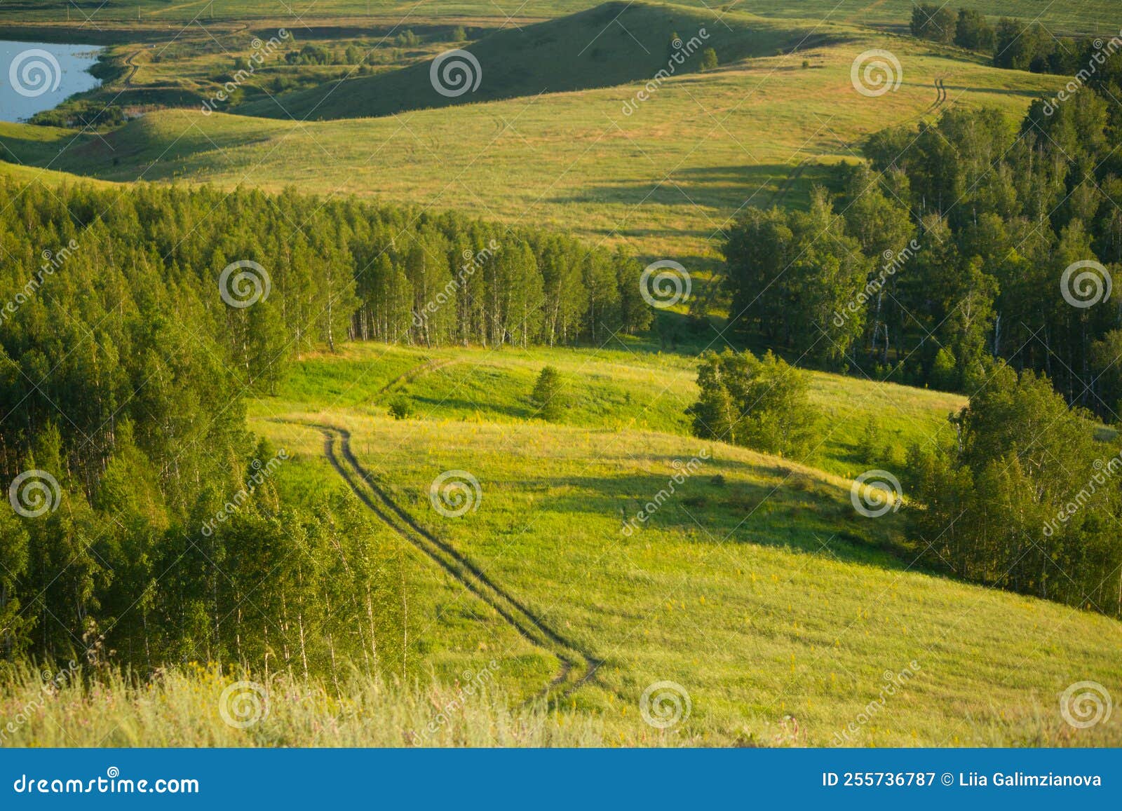View from above stock image. Image of countryside, spring - 255736787