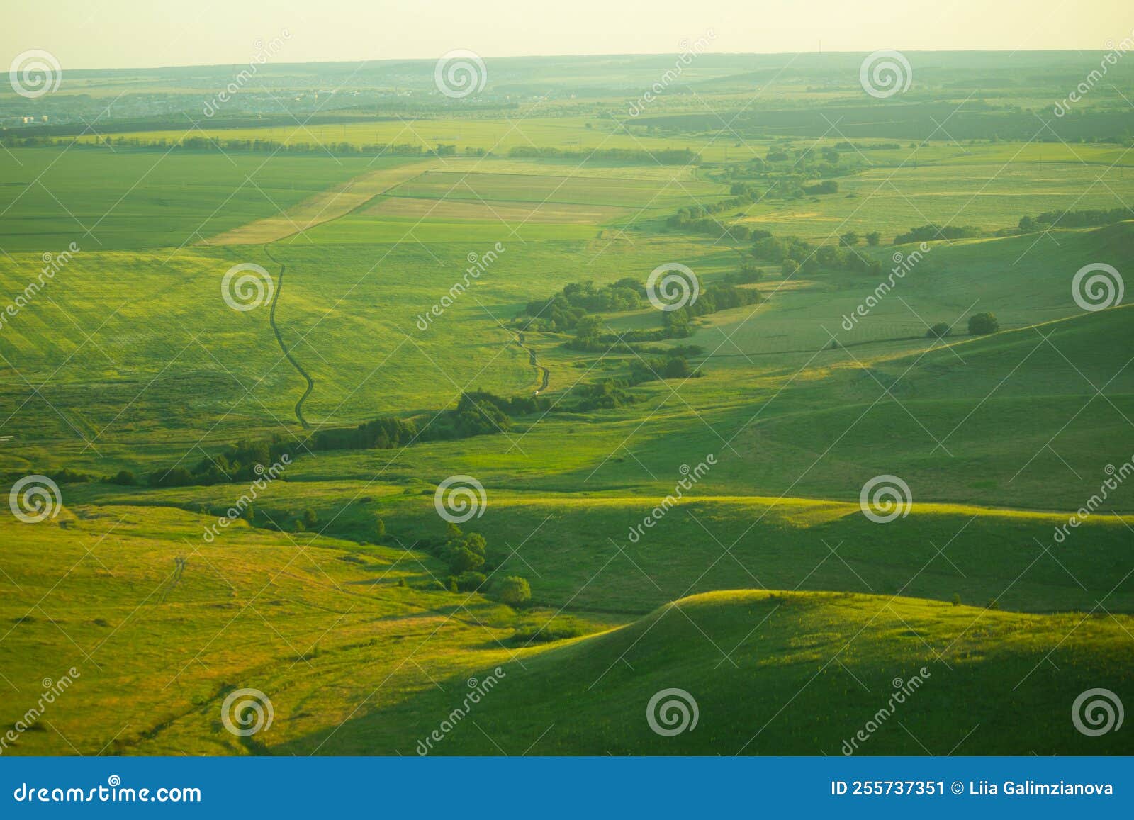 View from above stock image. Image of real, pasture - 255737351