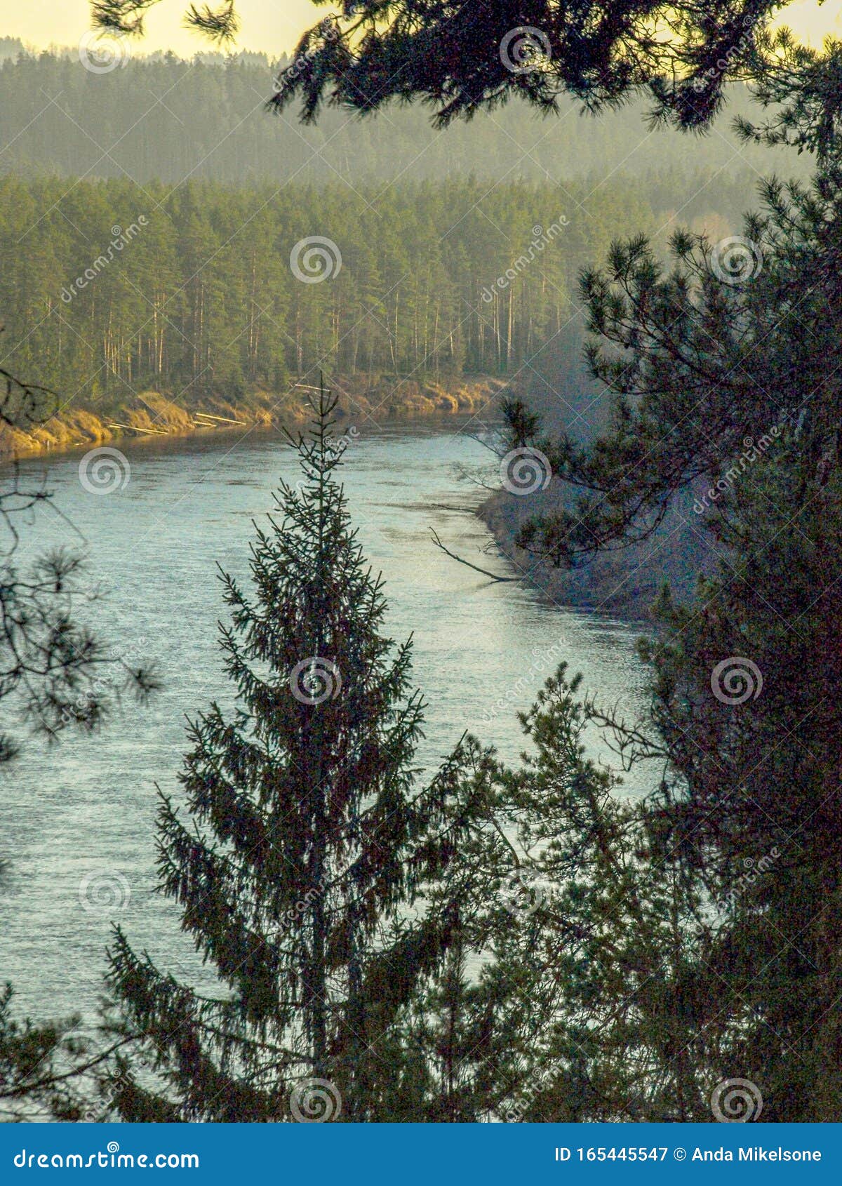 View from Above Over Tree Tops Stock Image - Image of interesting ...