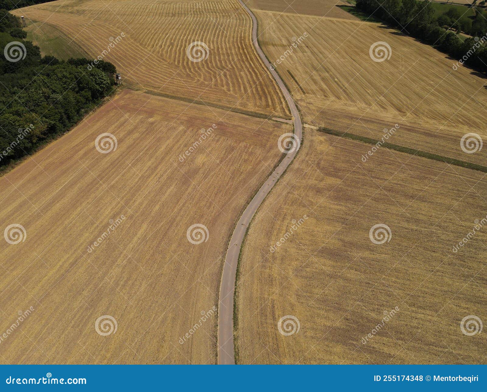 View from Above of a Pathway between Mowed Grain Fields and Wheatfields ...